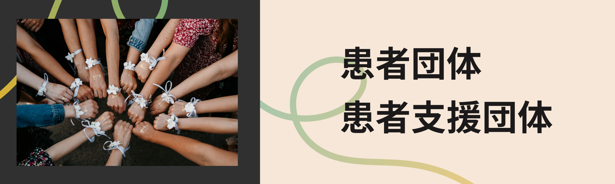 保健所一覧管轄区域 徳島